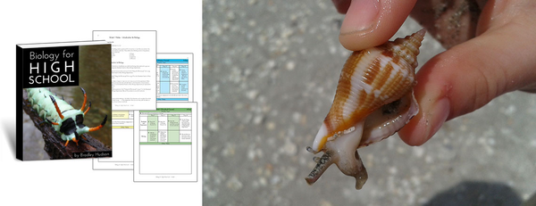 Biology for High School - elementalscience.com