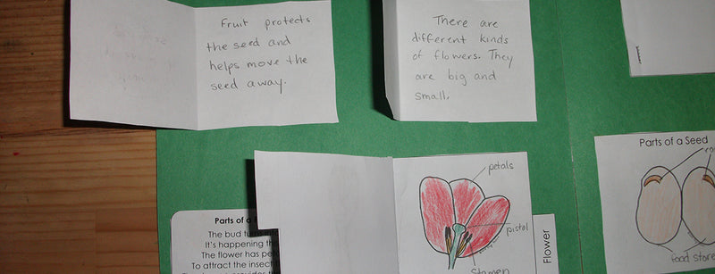 Unit Studies for Biology from Elemental Science