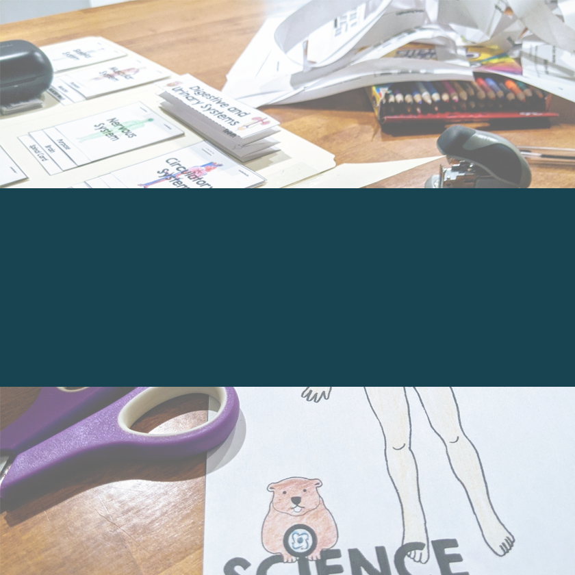 Homeschool Science Curriculum | Elemental Science