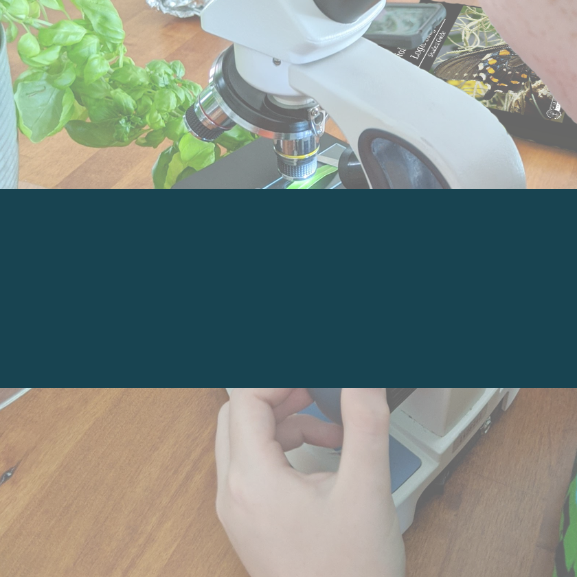 Homeschool Science Curriculum | Elemental Science