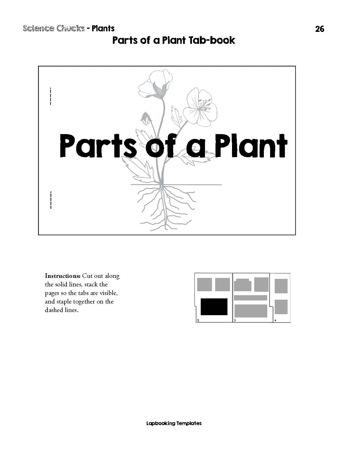 Parts Of A Plant Black And White
