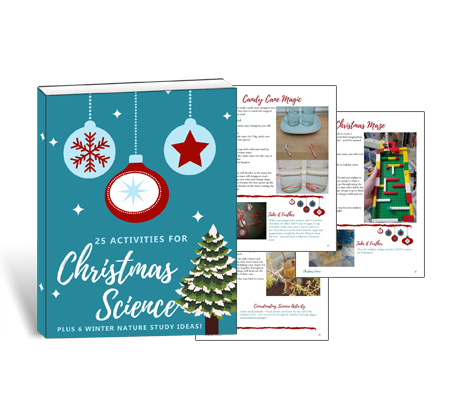 25 Activities for Christmas Science, Plus 6 Winter Nature Study Ideas ...