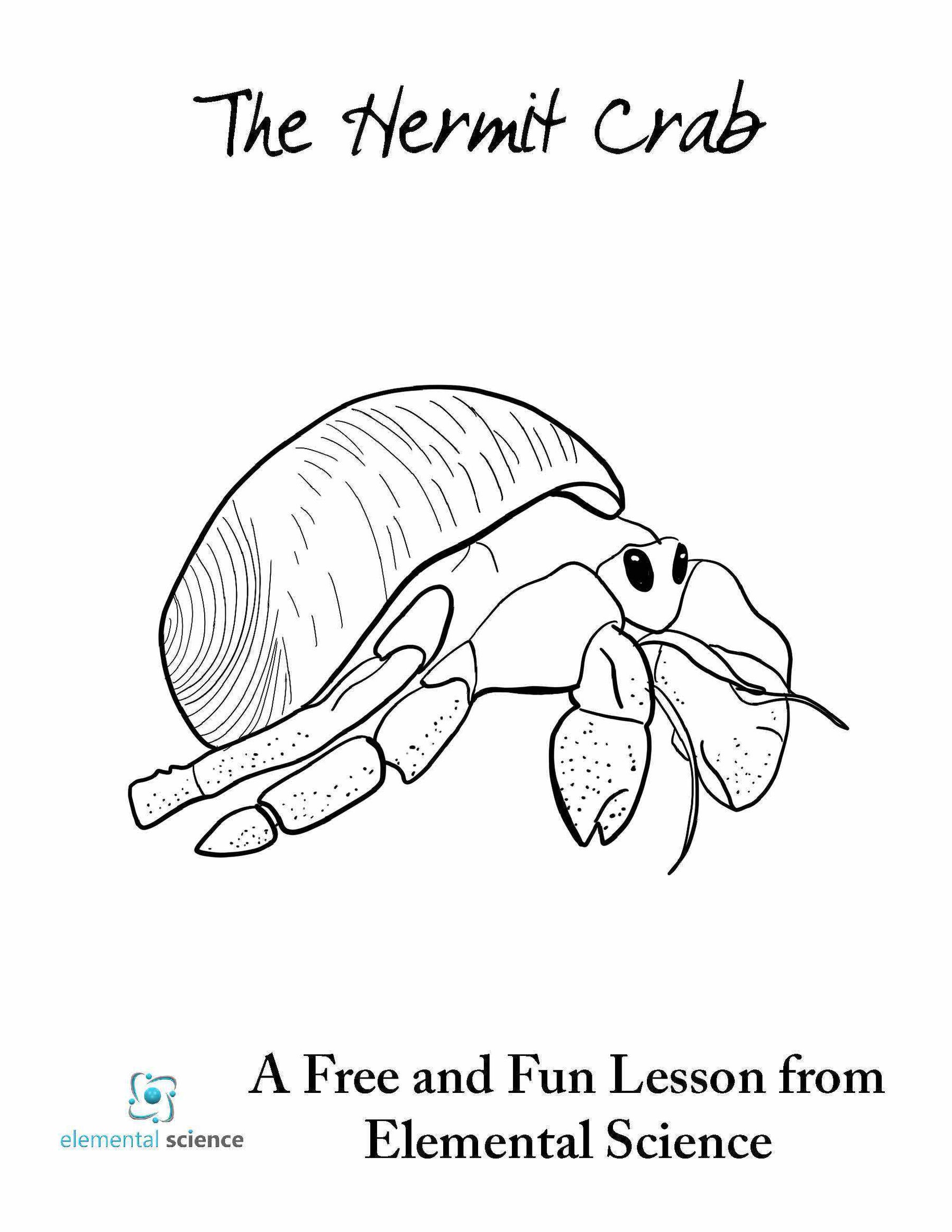 Discover Free Hermit Crab Lesson Download | Elemental Science