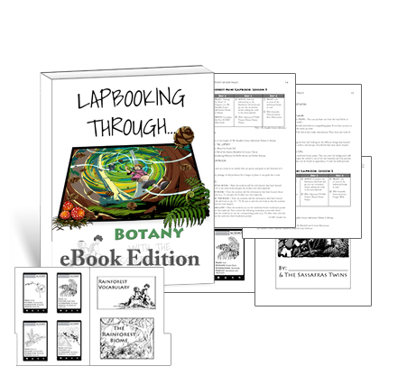 The Sassafras Science Adventures Volume 3: Botany - elementalscience.com