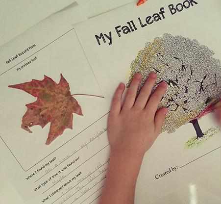 Fall Leaf Book {FREE printable} - elementalscience.com